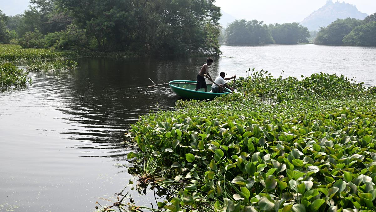 Heavy rainfall fills 79 water bodies in Salem district while 70 remain ...