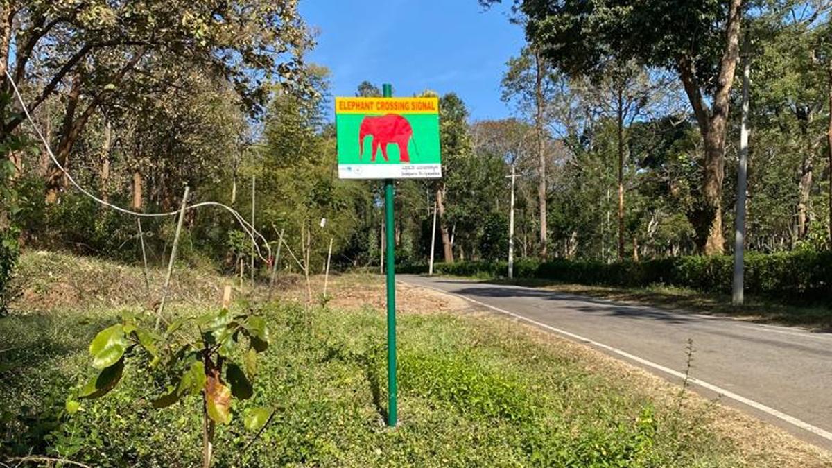 Karnataka Forest Department installs infrared signal boards to detect elephant movement in ...