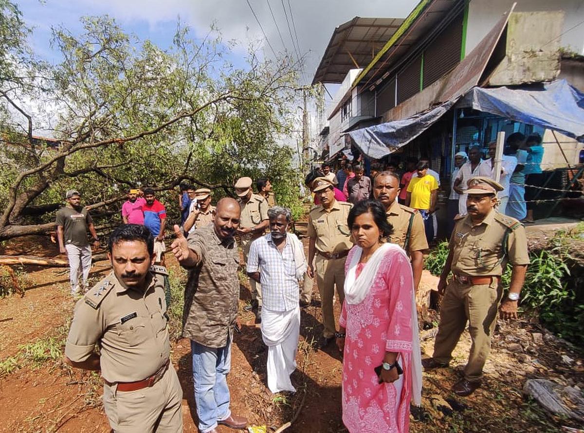 Environmentalists seek wider action for killing of cormorant nestlings ...