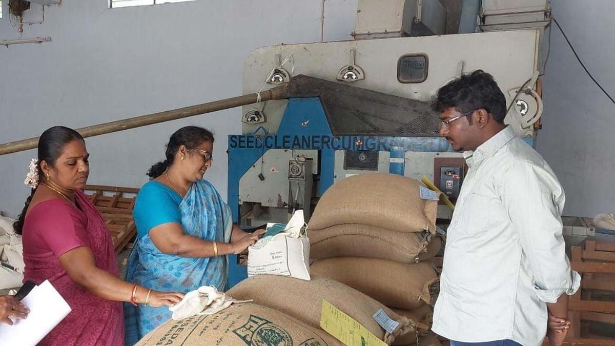 Action taken against 203 shops selling poor-quality seeds in Salem ...