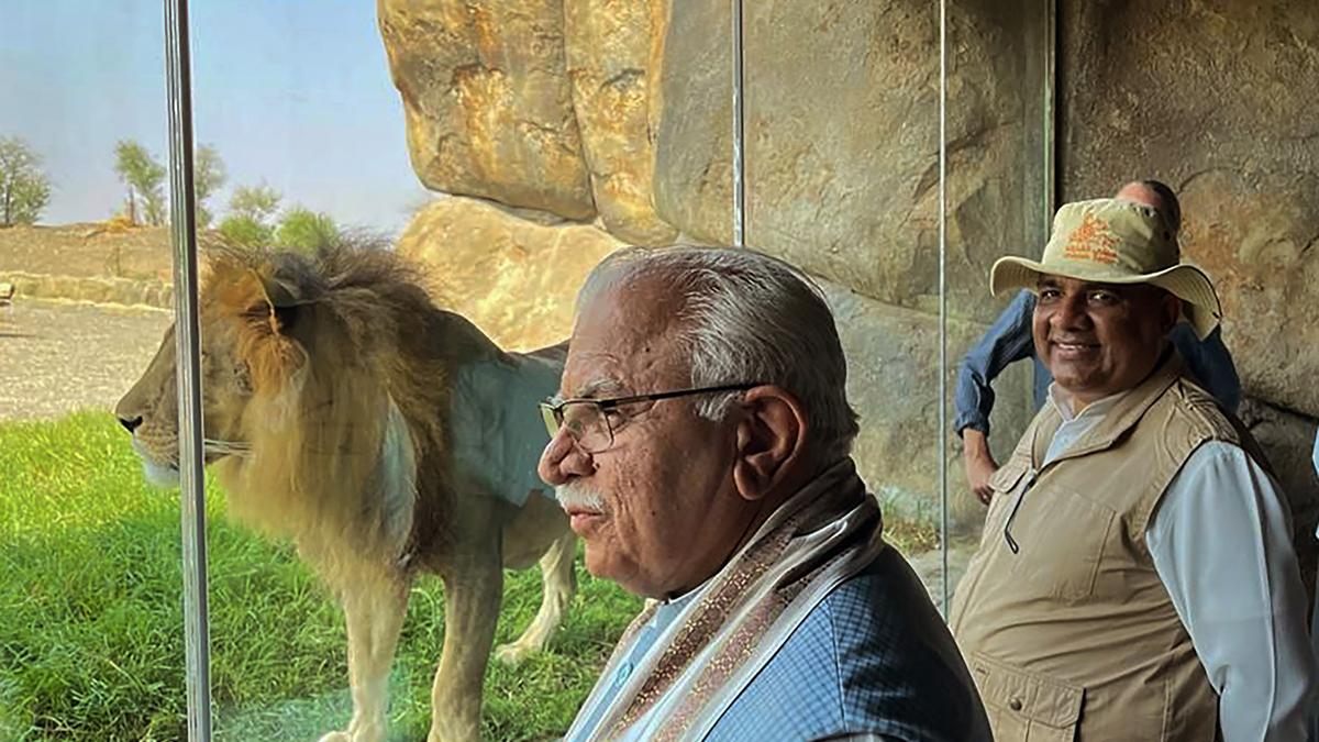 Haryana govt. unveils 10,000-acre jungle safari project ...