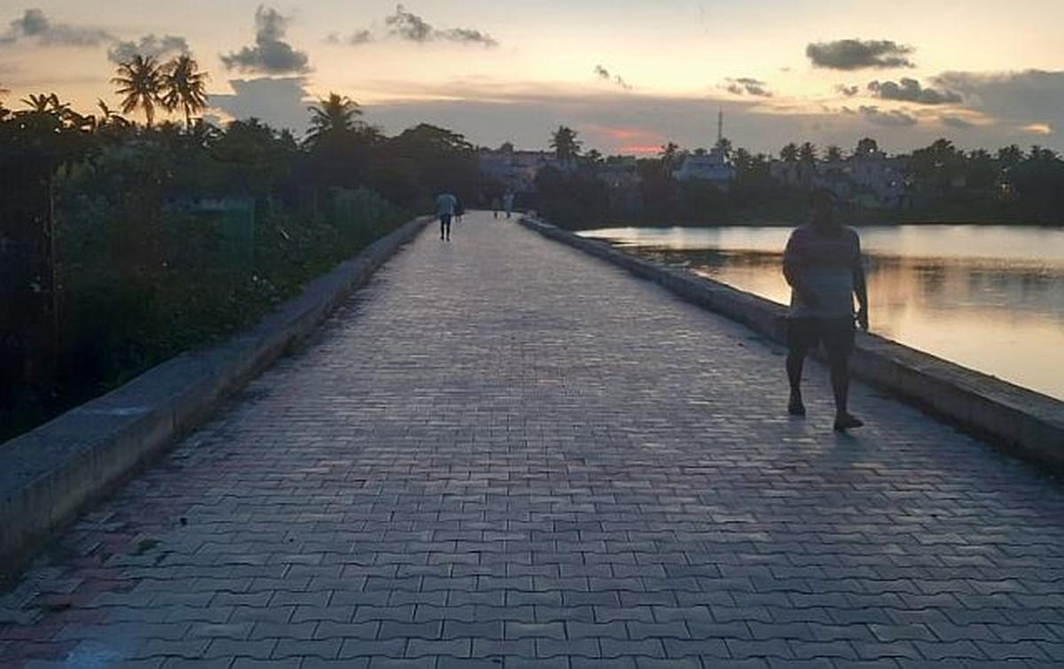 Lack of illumination at Chitlapakkam lake irks regulars - The Hindu