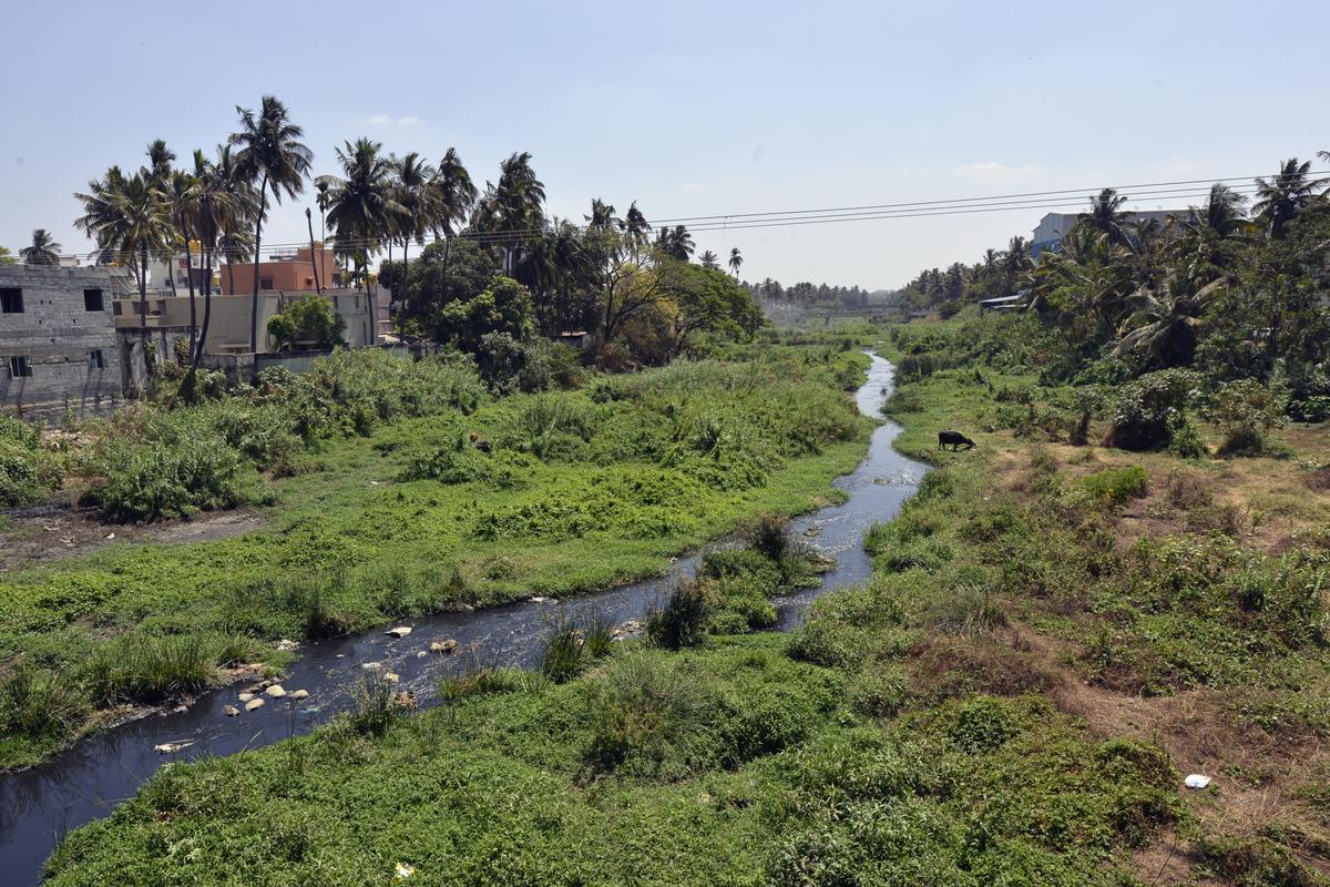 A river runs dry - The Hindu