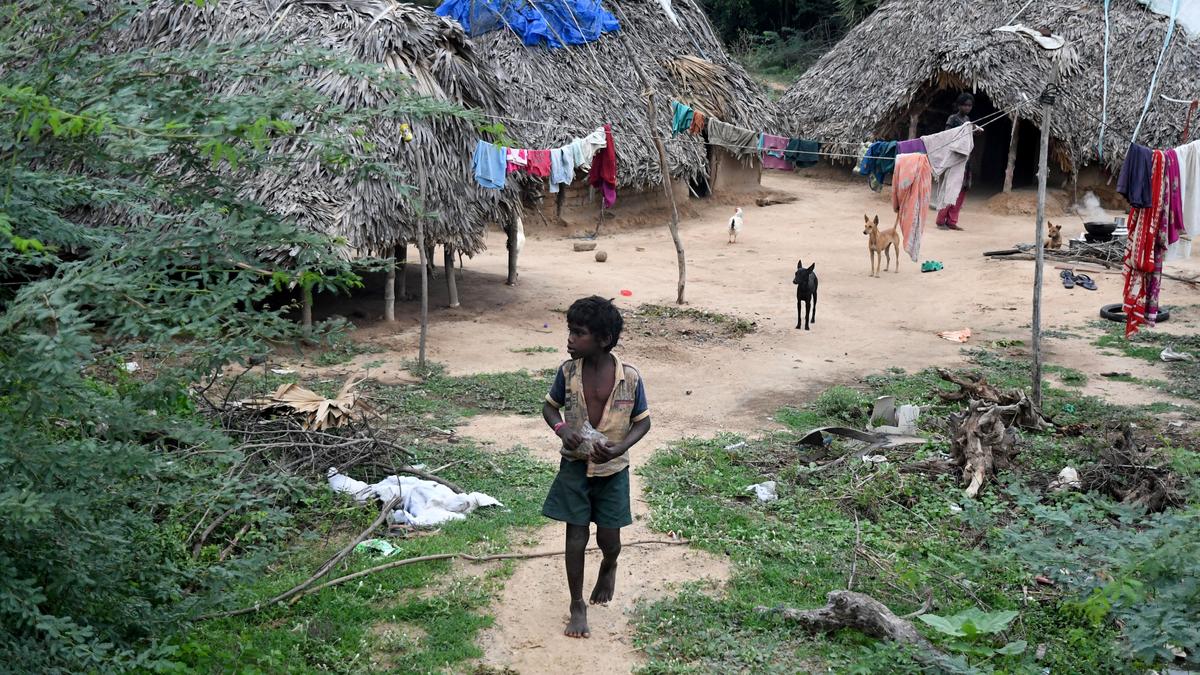 A dream come true for Irula tribal families in Chennai - The Hindu