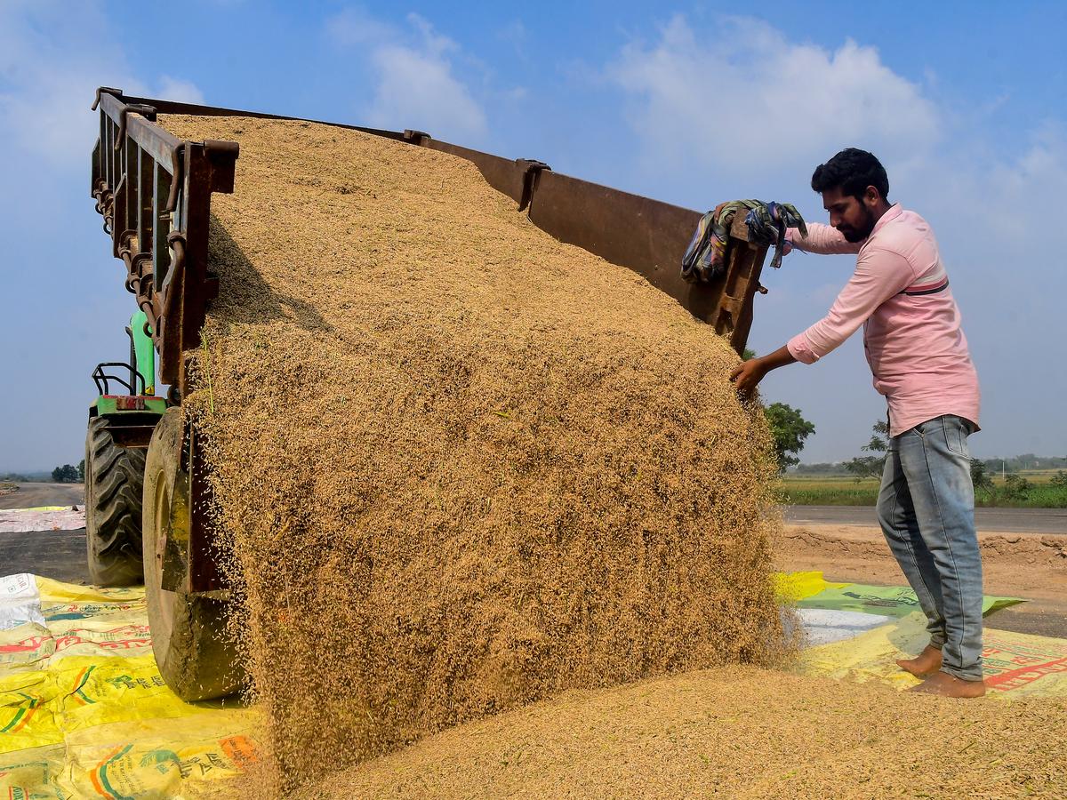 In Frames | Gone with the wind - The Hindu