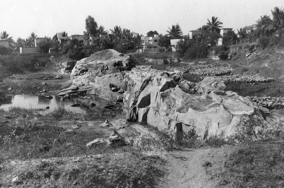 Jayanagar celebrates its platinum jubilee - The Hindu