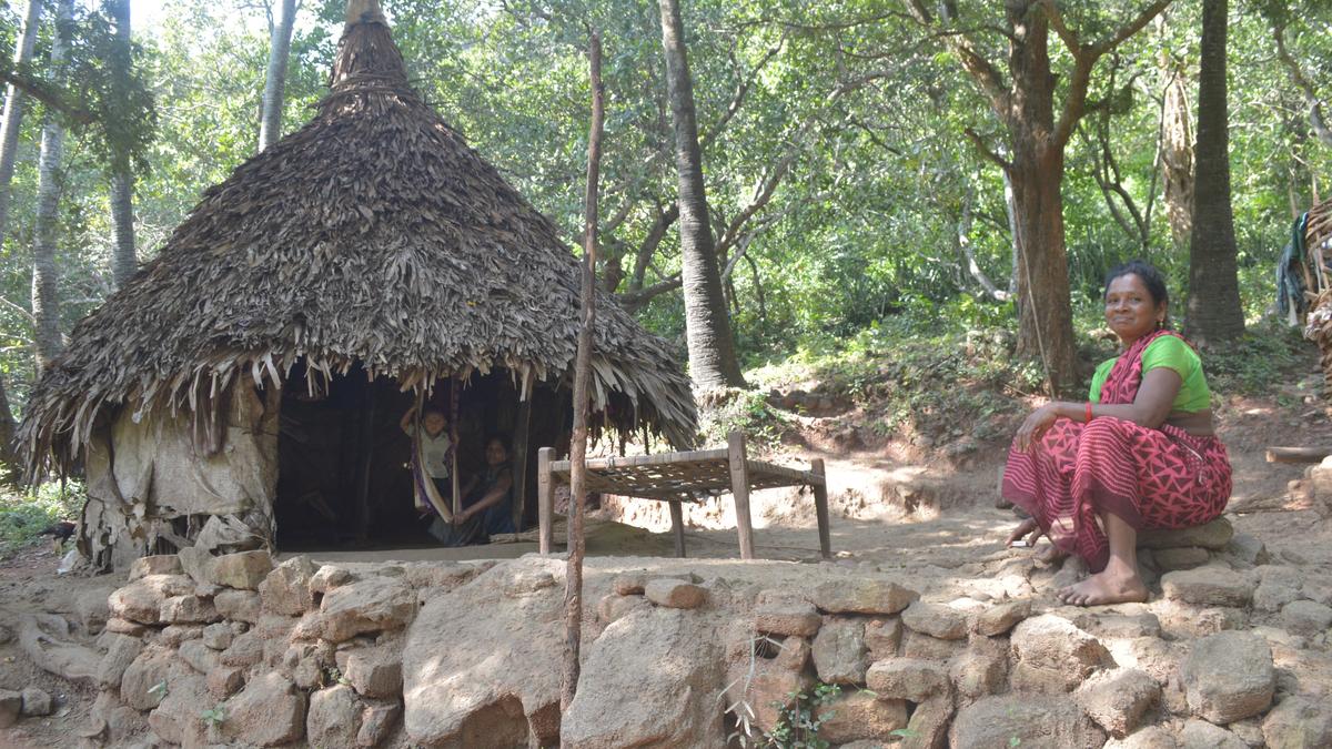 Jaladam Valley, home to the Konda Reddi tribe, offers a glimpse into a ...