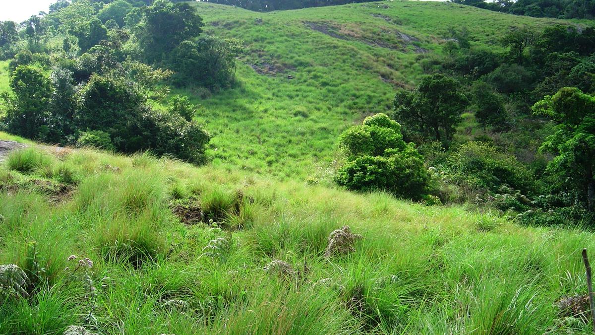 Mathikettan Shola ensures water security to Santhanpara panchayat in ...