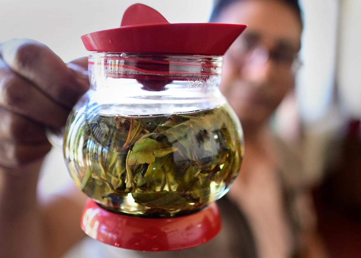 Rare Assam tea sold for ₹1 lakh per kg - The Hindu