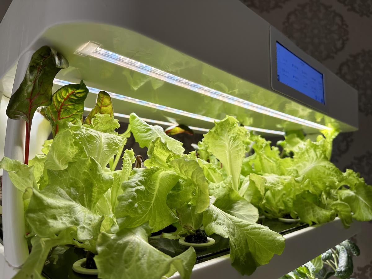 Grow fresh greens and herbs inside your home with this smart urban ...