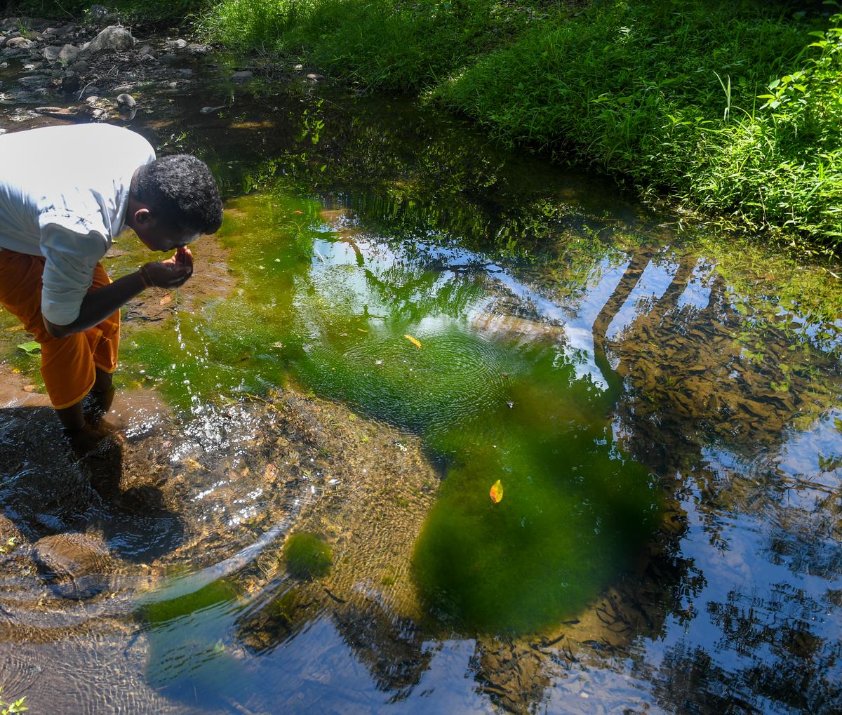In Frames | Sacred Spaces - The Hindu