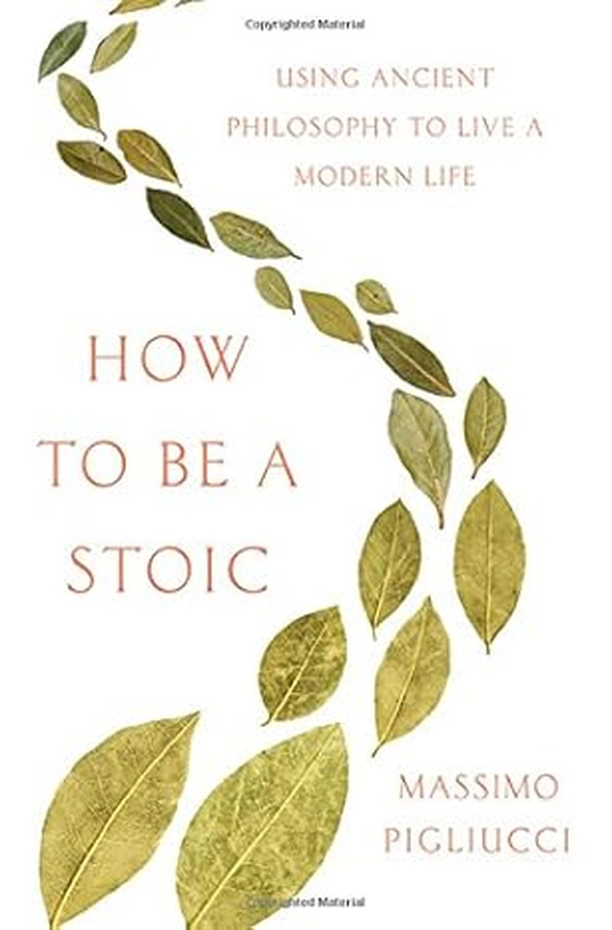 In a time of turmoil and crisis, the stoic roadmap to a meaningful life ...