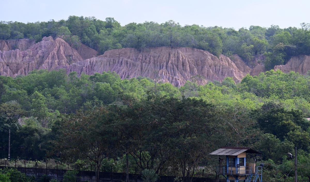 In Frames | Staying power - The Hindu