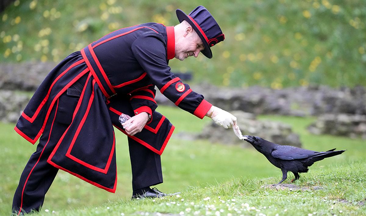 Towering over London - The Hindu