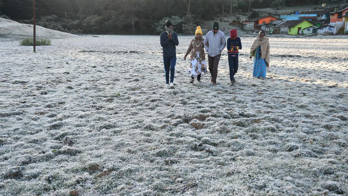 Ooty records season’s lowest temperature at 1.7 degree Celsius - The Hindu