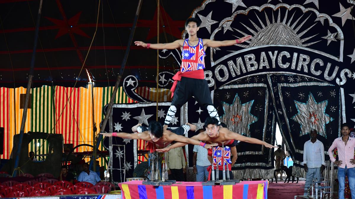 The circus comes to town - The Hindu