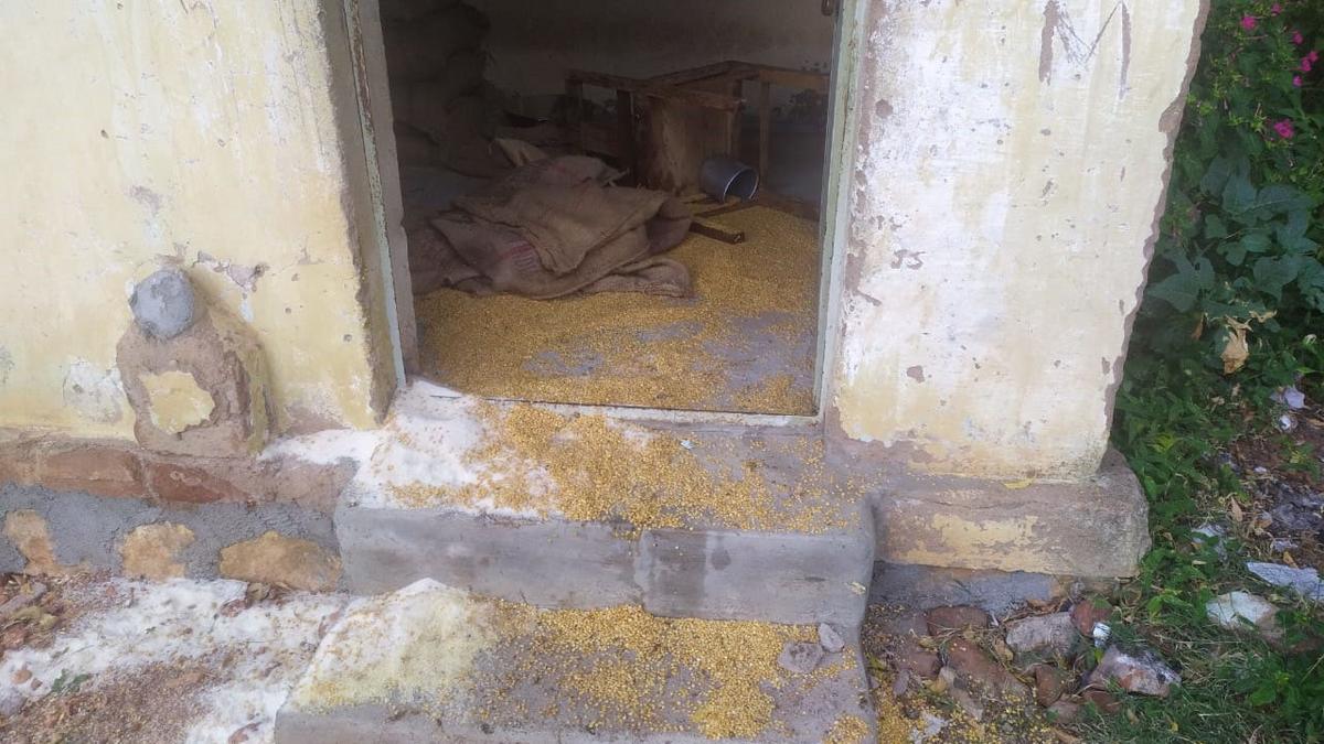 Ration shop near Coimbatore sees second jumbo break-in in a week - The ...