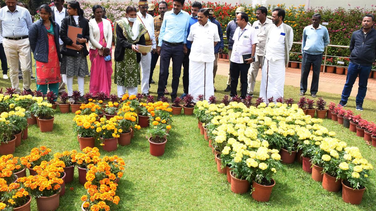 Second season begins in the Nilgiris - The Hindu