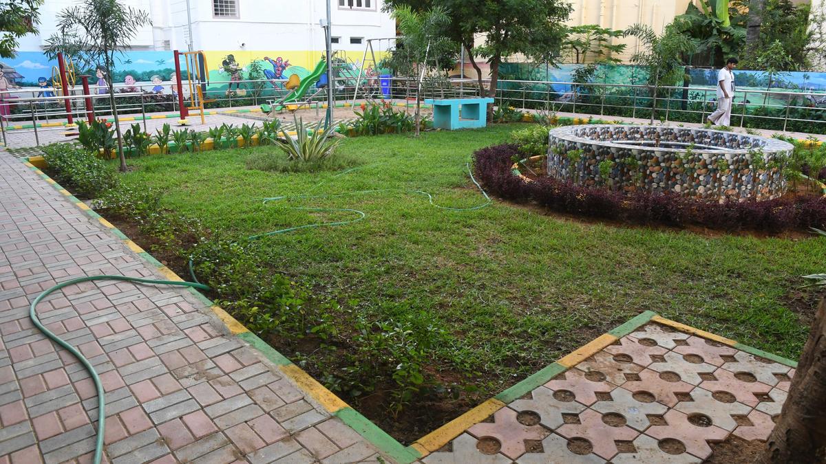 Chennai Corporation to develop sponge parks at 10 locations - The Hindu