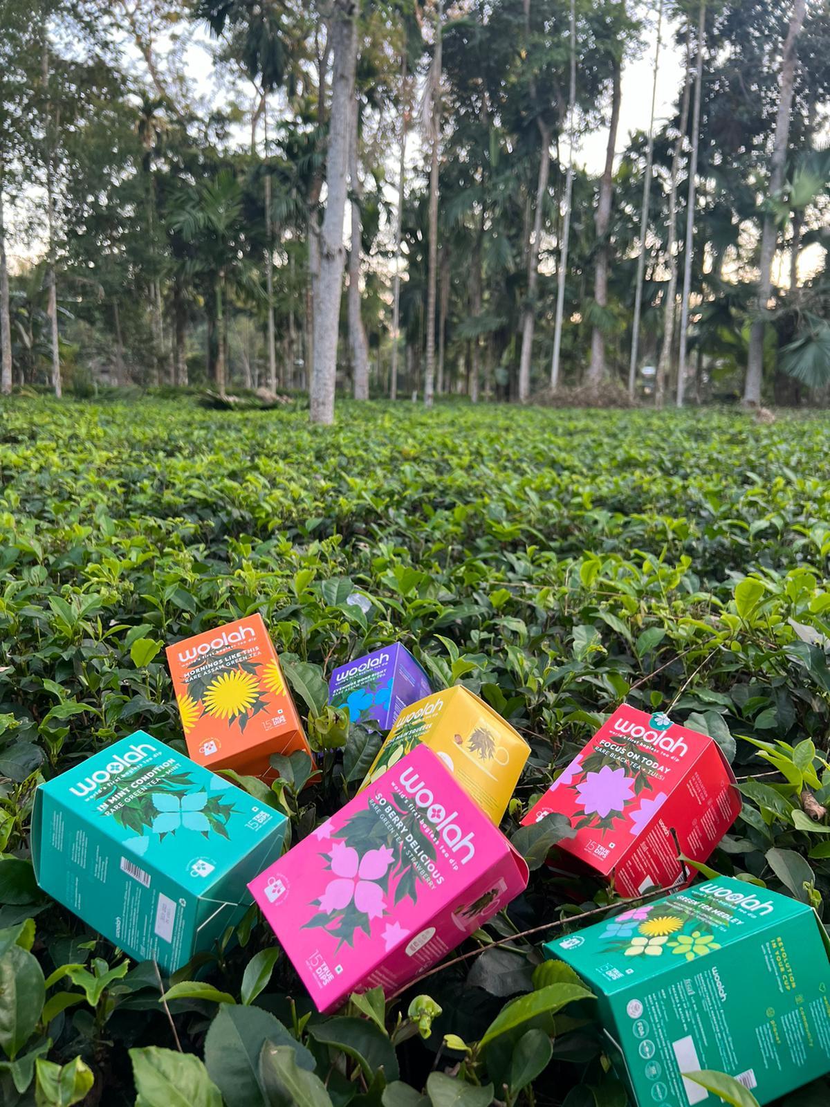 Watch | World’s first ‘bagless’ tea dip - The Hindu