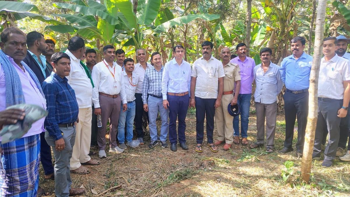 Delayed KPTCL’s tower construction work at H.D. Kote cleared - The Hindu