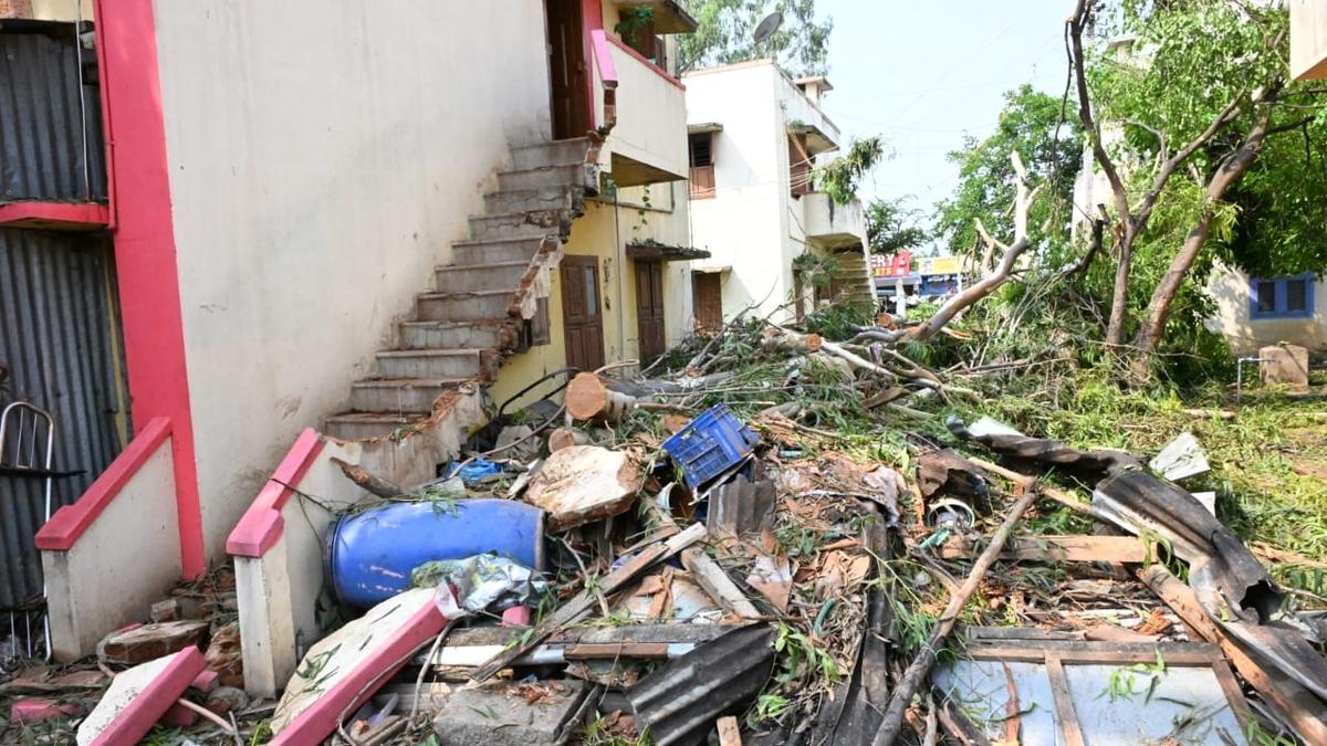 Collector inspects damages from rainstorm - The Hindu