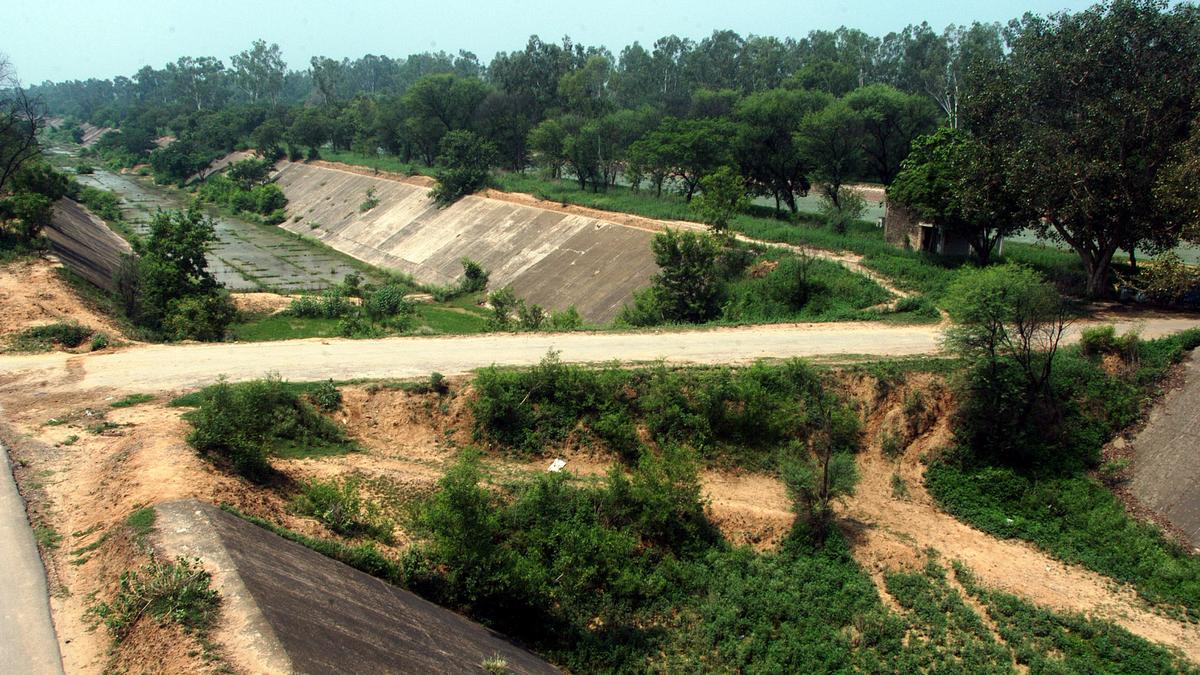 Haryana government committed to construct SYL canal, says Governor ...