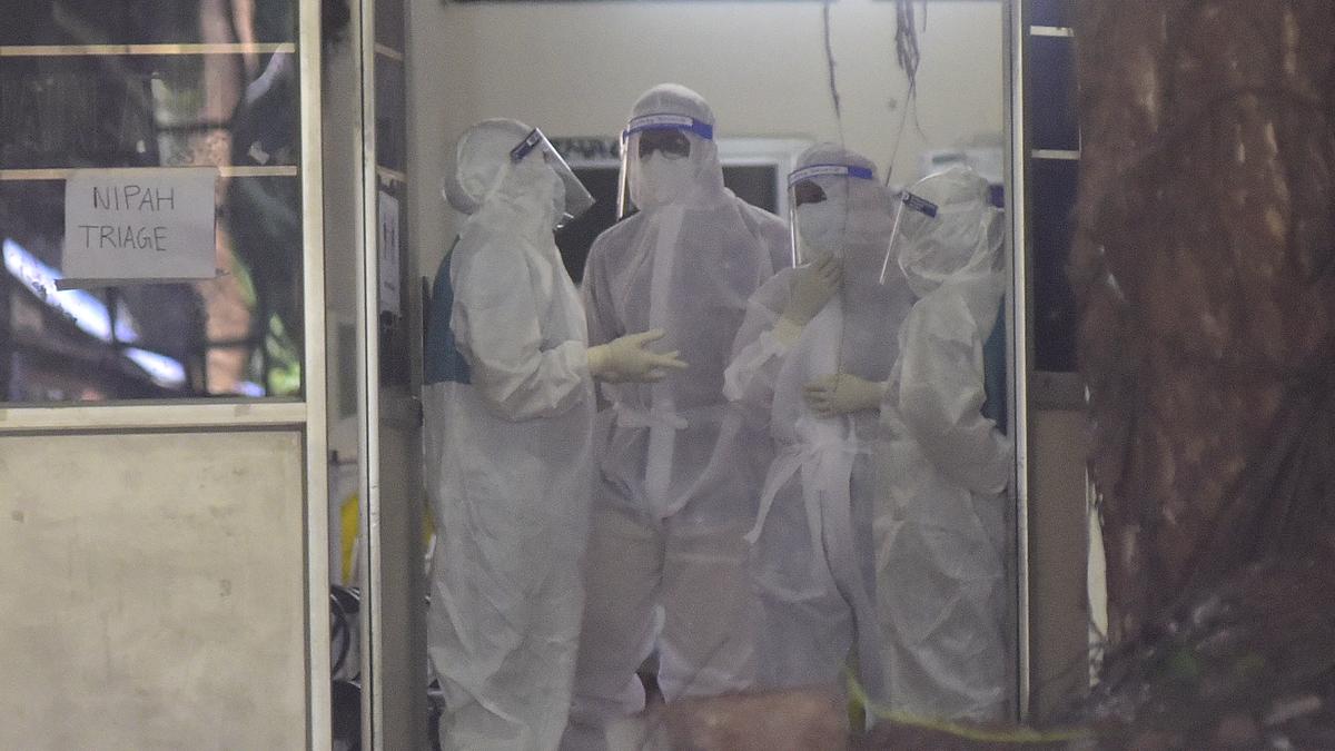 Nipah virus: seven more samples test negative - The Hindu