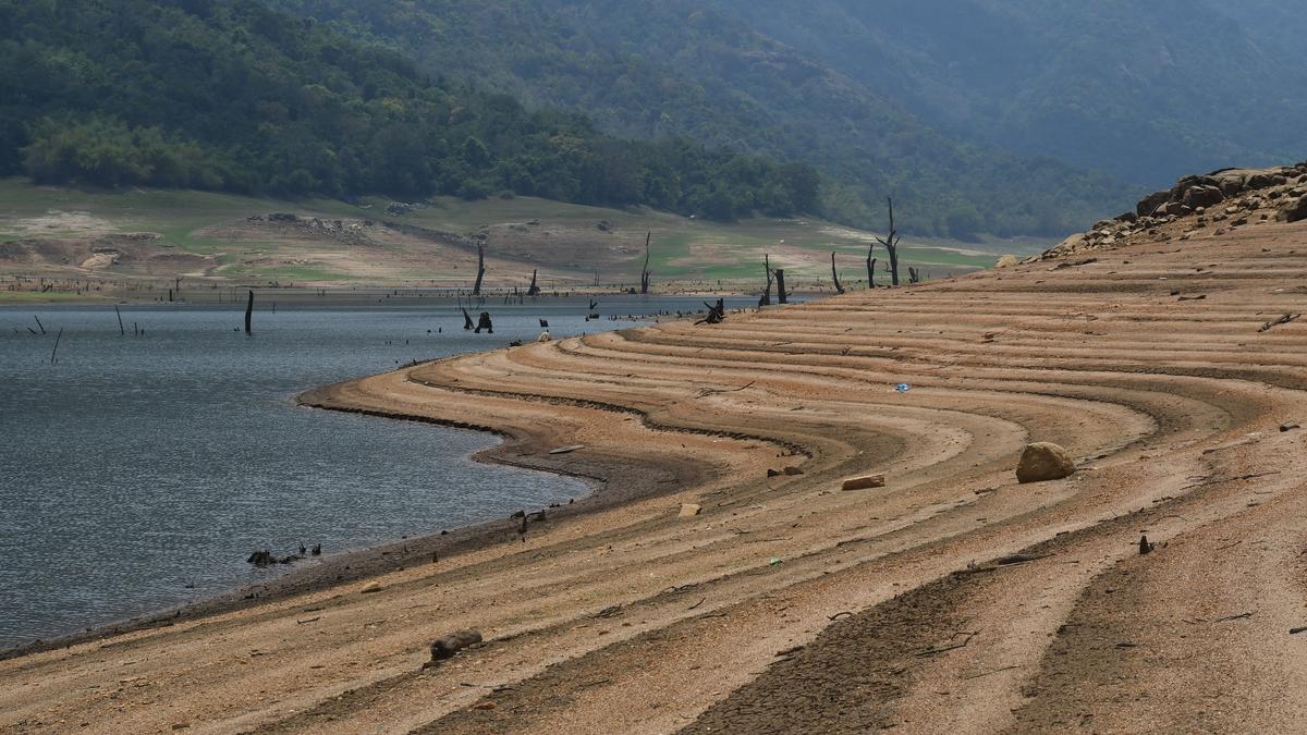 Water level in Papanasam dam stands at 40 feet - The Hindu