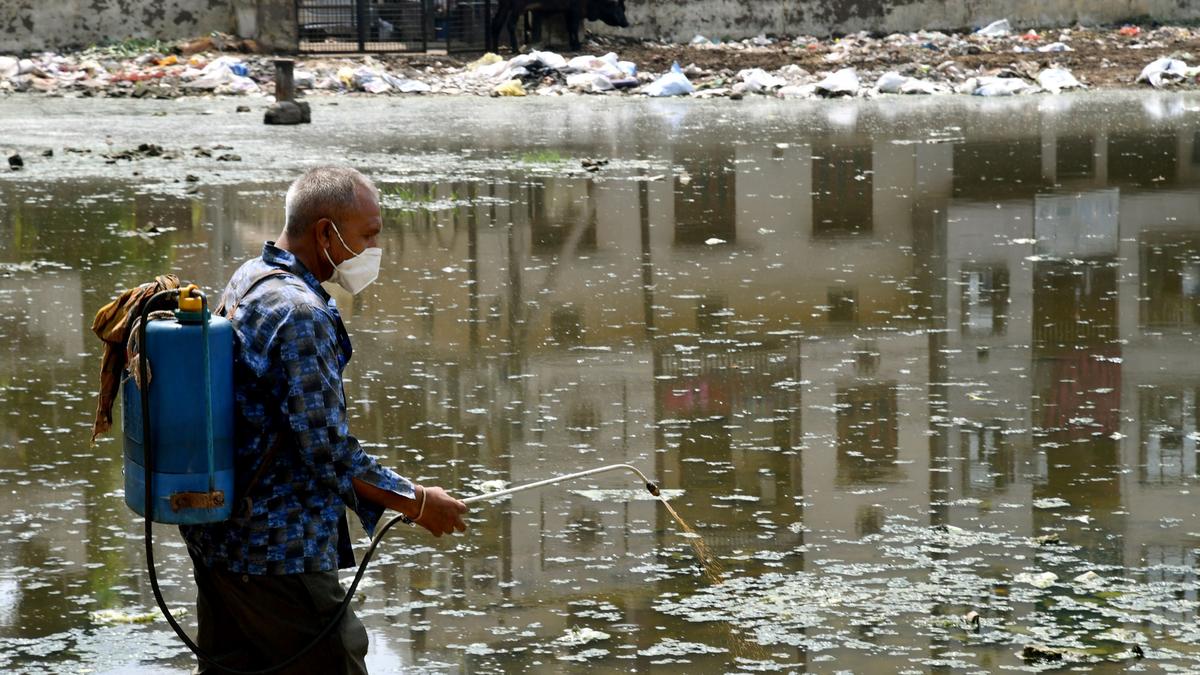 Cleanliness survey: why Capital continues to score poorly - The Hindu