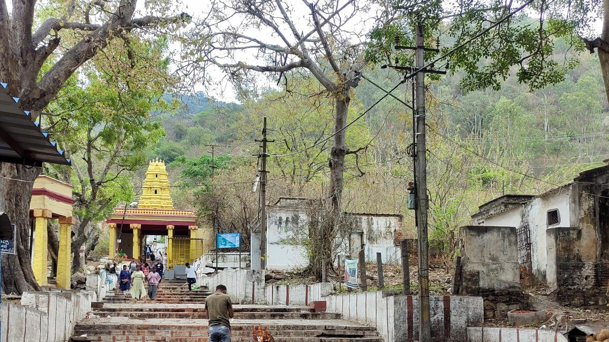 Chamundi Betta walk on Feb. 1 to protest development works on hills ...