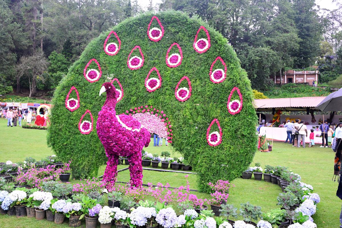 Dindigul lock, Ayakudi Guava, Kodaikanal Hill Garlic all made up of ...