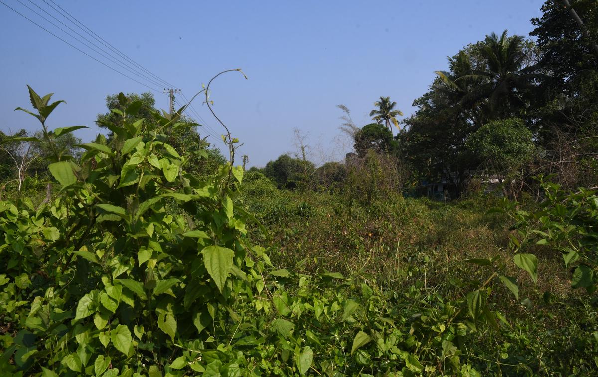 15 years on, no succour for Moolampilly evictees - The Hindu