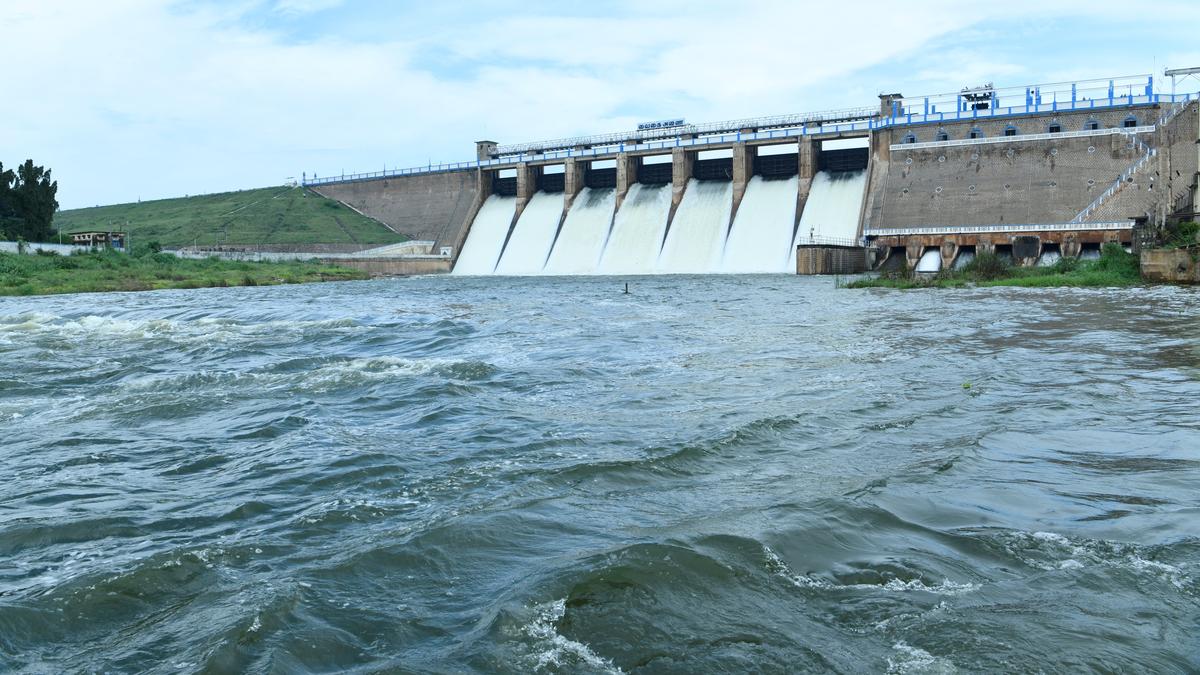 Vaigai dam reaches maximum storage level; surplus water being released ...