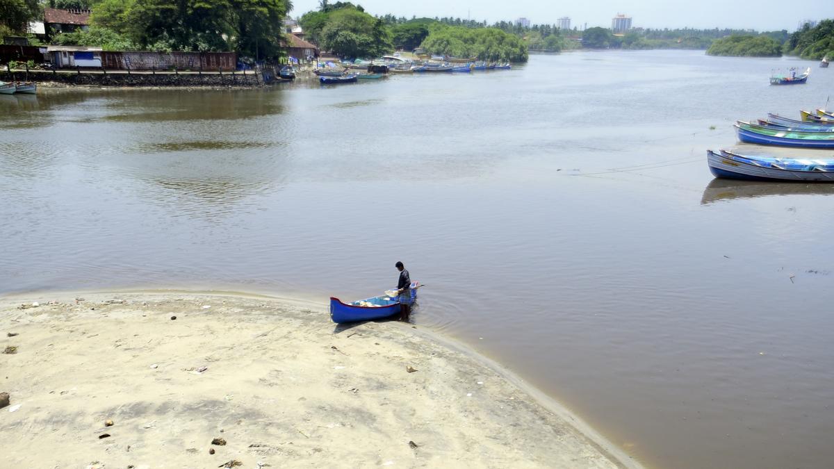 Encroachers told to vacate Kallai river banks within a month - The Hindu
