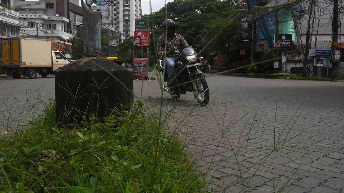 Unlit medians in Kochi turn death traps for motorists - The Hindu