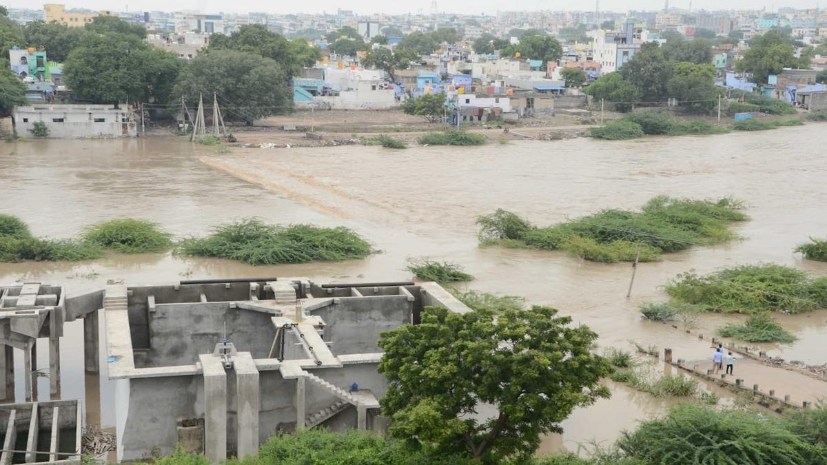 Andhra Pradesh: Overflowing Handri leaves many colonies in Kurnool inundated - The Hindu