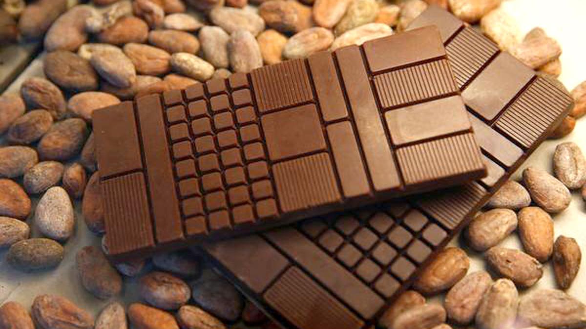Science for All: Chocolate flavour is affected by microbes, scientists ...