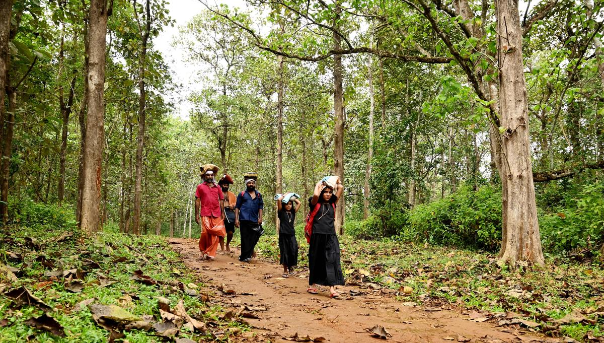 Silent guardians of a pilgrim trail to Sabarimala - The Hindu