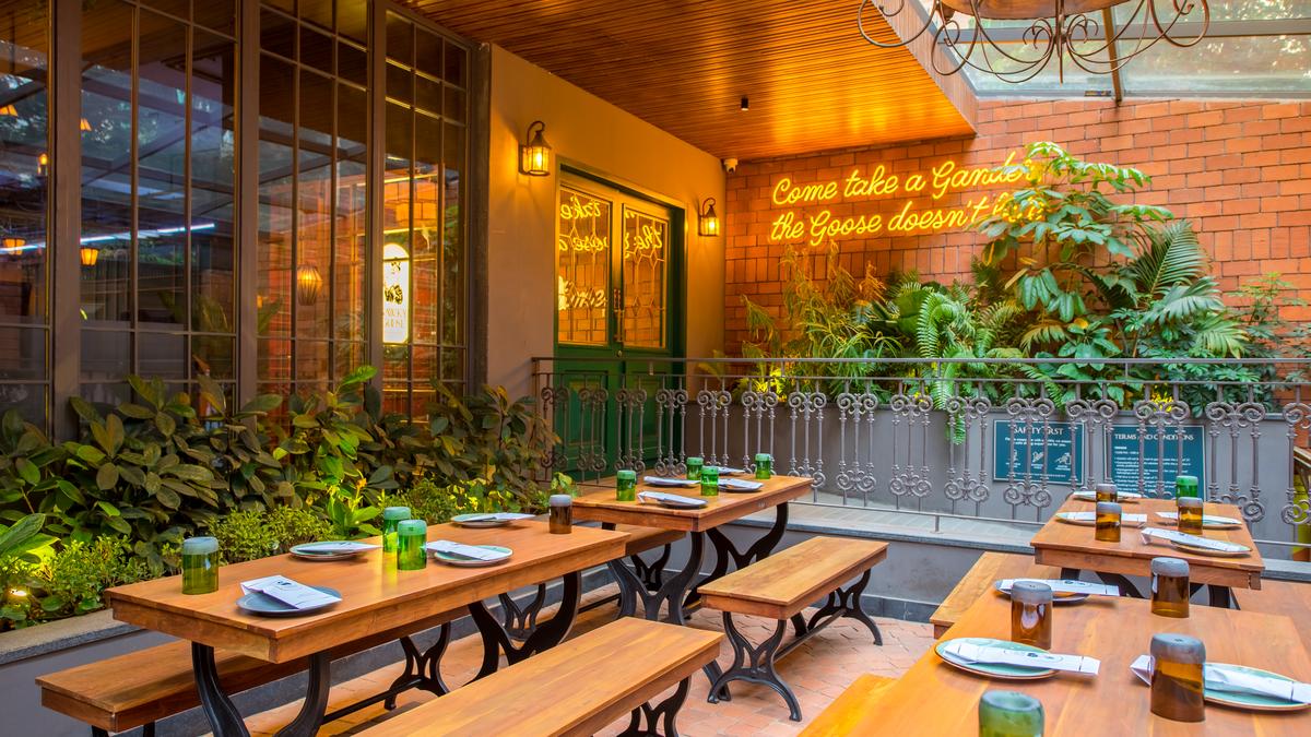 Take a gander at Gawky Goose - The Hindu