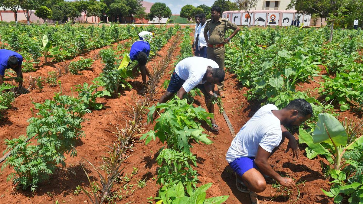 Kalapet Central Prison is on a makeover mission - The Hindu