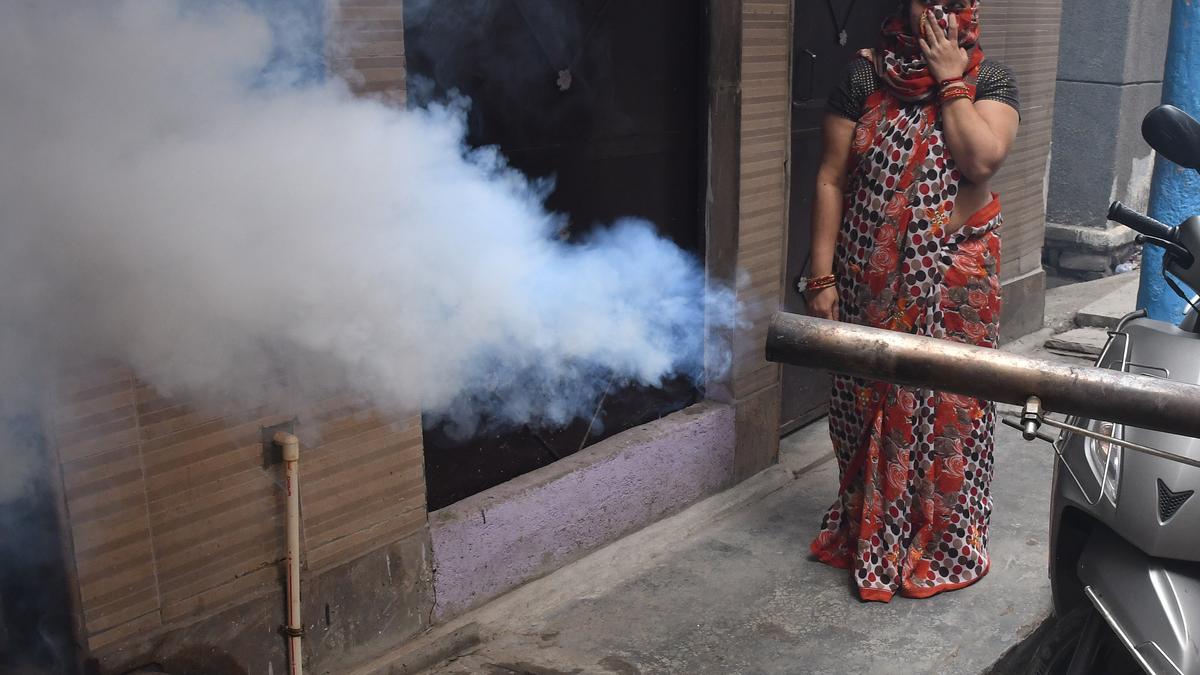 Over 260 dengue cases recorded in city last week - The Hindu