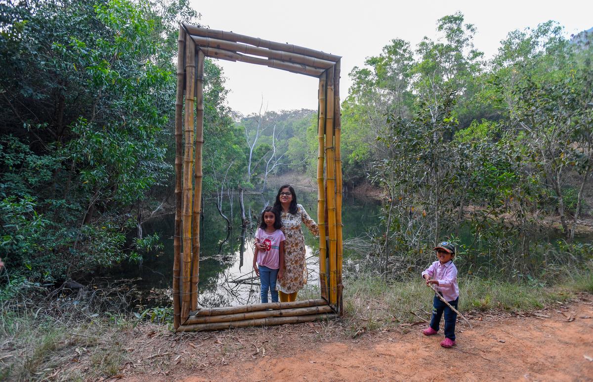 Kambalakonda Wildlife Sanctuary in Visakhapatnam abuzz with new ...