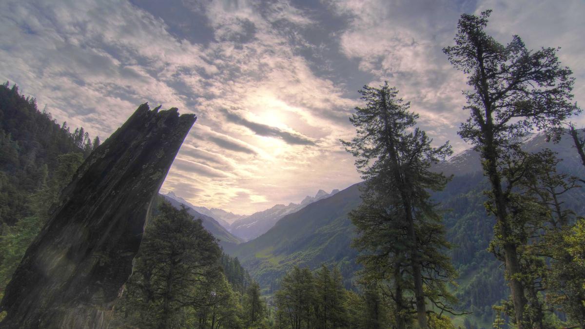 Healing in the Himalayas - The Hindu