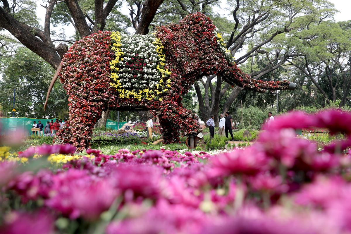10FEBSTS01_With 12 lakh plants, live flower show at Semmozhi Poonga a ...