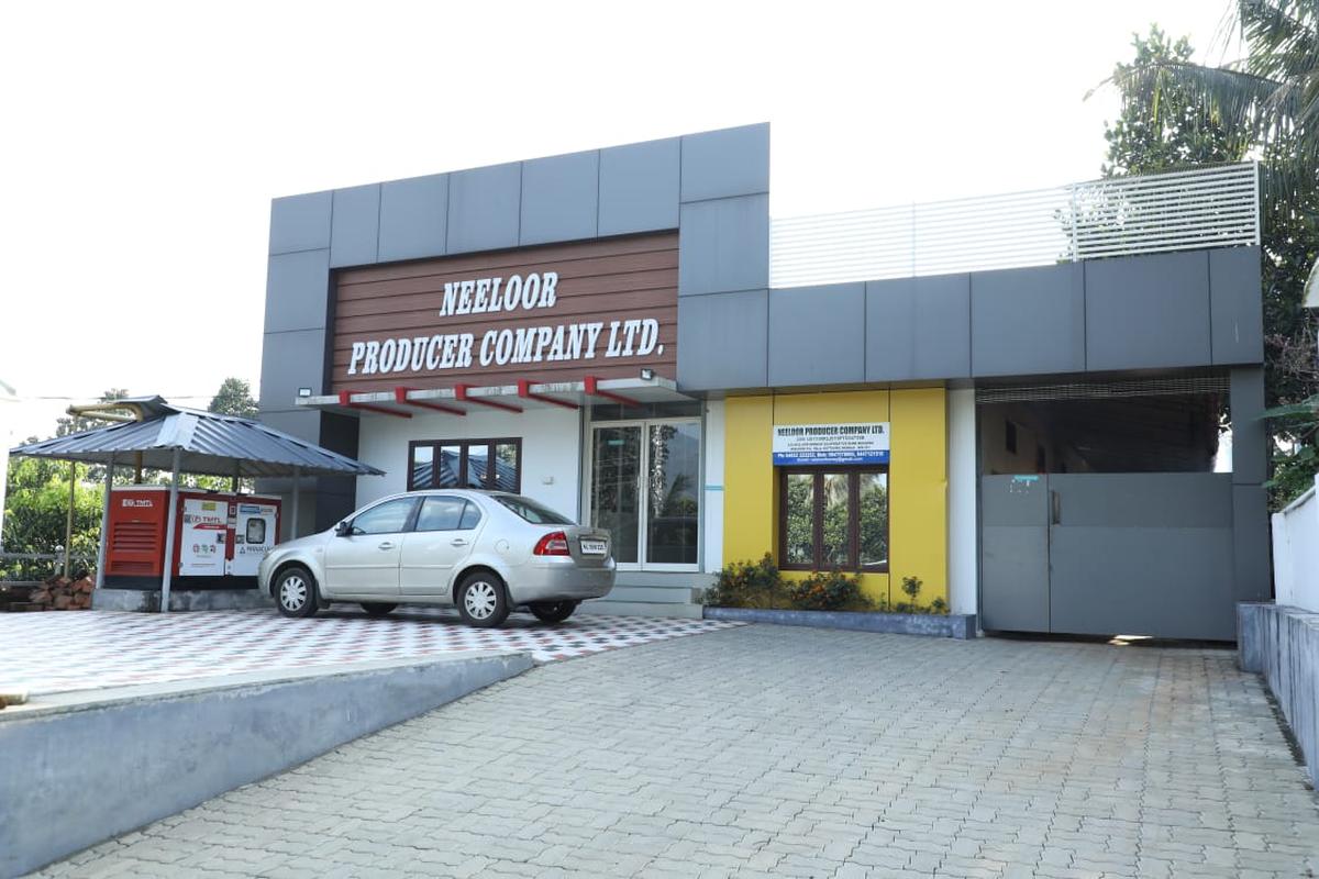 ‘Kumbilappam’ from Neeloor in Kerala goes international - The Hindu