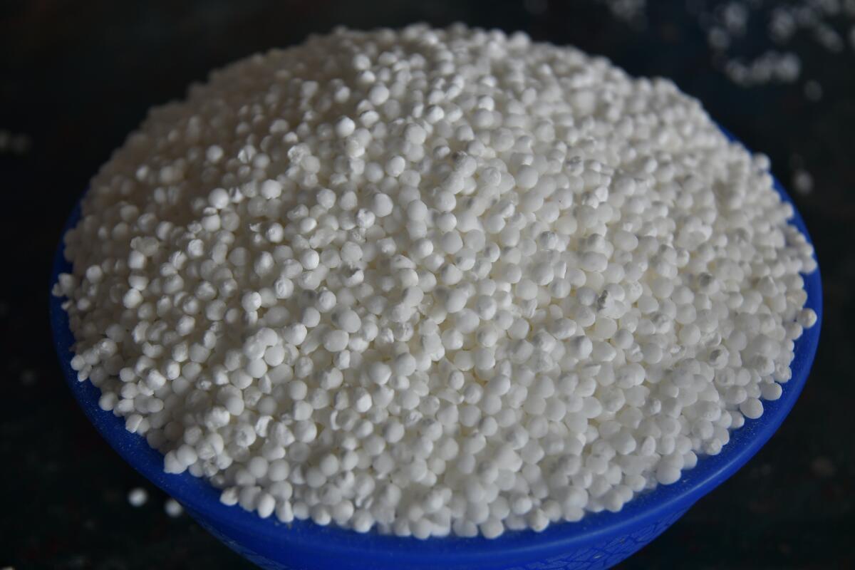 Watch | Salem Sago gets GI tag - The Hindu