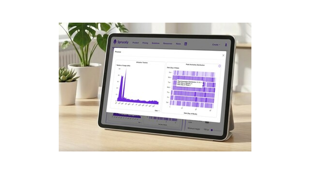 Sprucely.io Launches AI-Generated Analytics Dashboards Professional ...