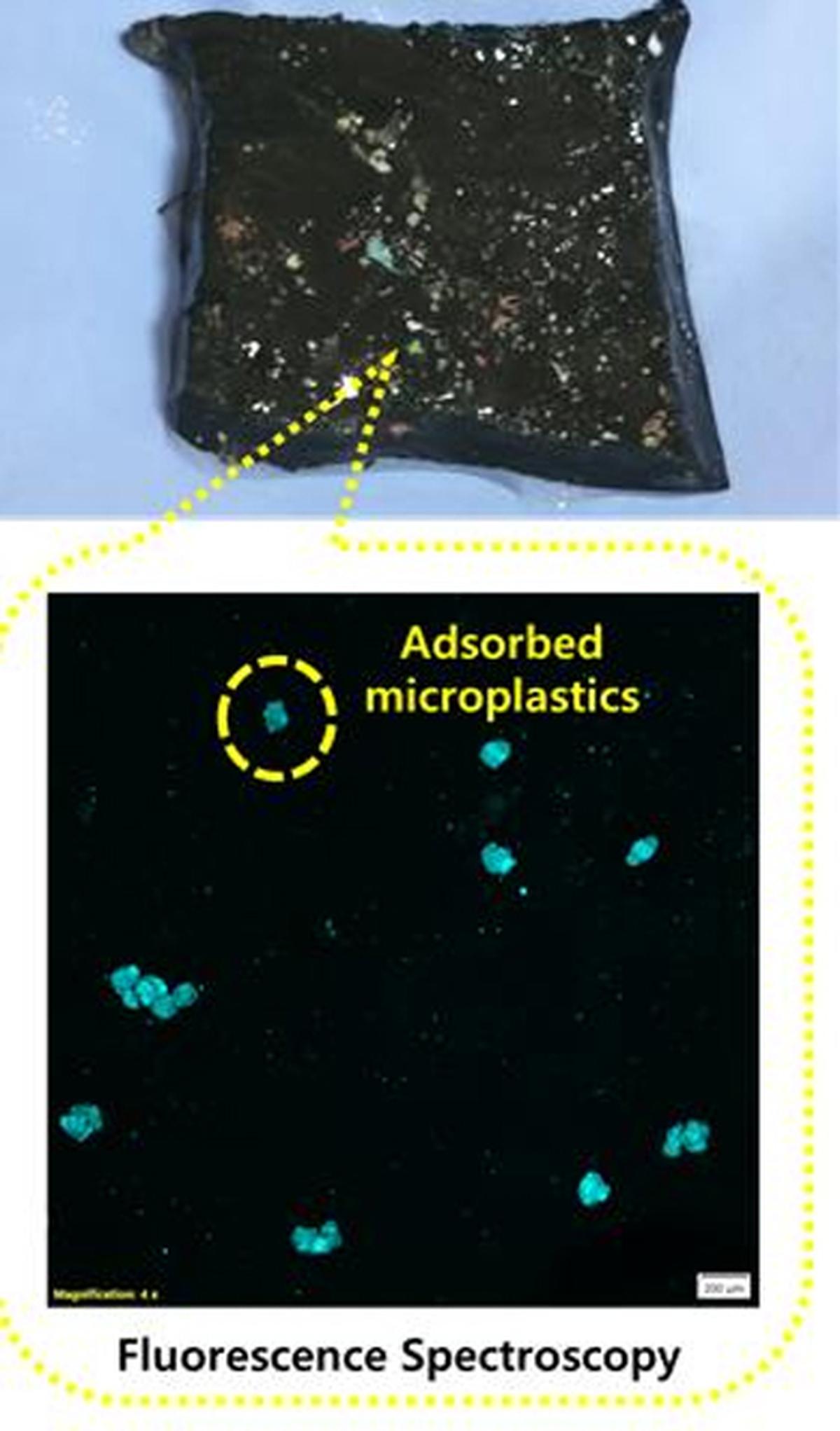 Iisc Researchers Design Novel Hydrogel To Remove Microplastics From Water The Hindu