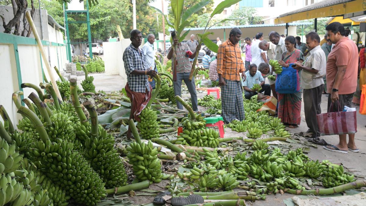 Heavy rush in Erode markets ahead of puja celebrations - The Hindu